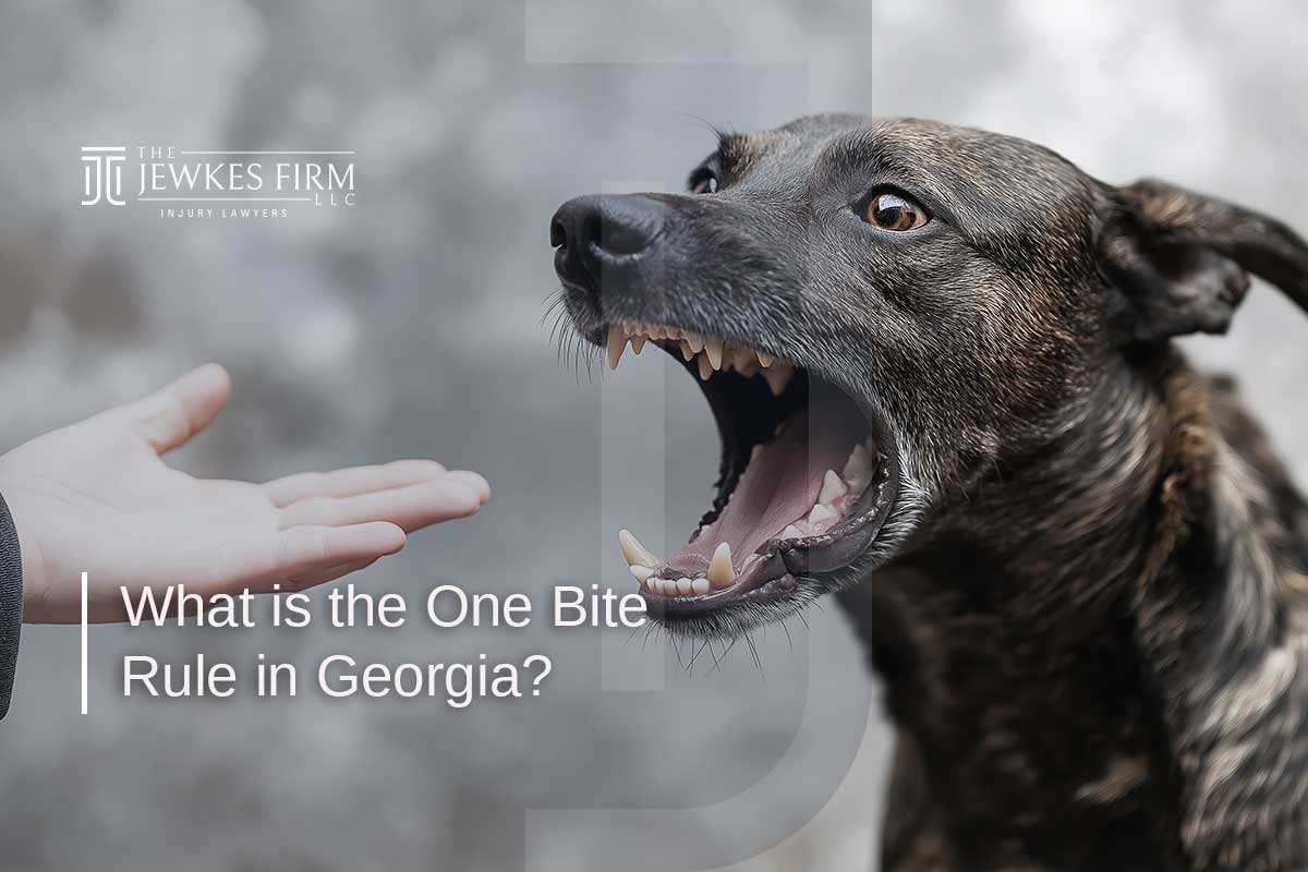 What is the One Bite Rule in Georgia? | The Jewkes Firm
